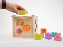 Shape Sorter Toy – LTTStore